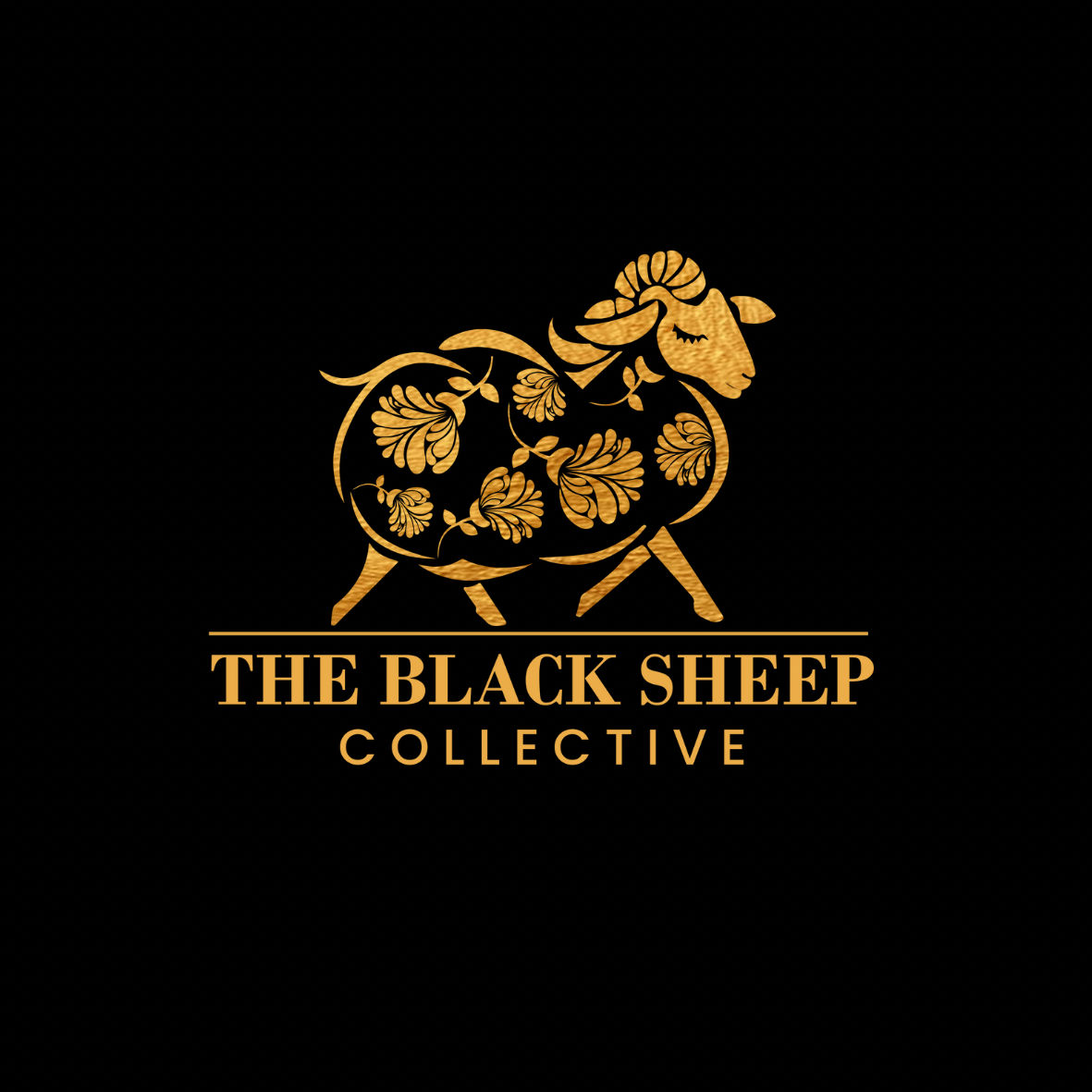Contact The Black Sheep Collective, Gurugram, India